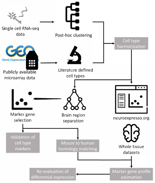 Our Parkinson's Place: NeuroExpresso: Web app enables exploration of ...