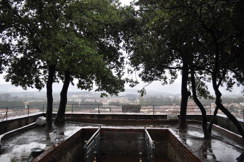 Guinigi Tower Crowned With Oak Trees