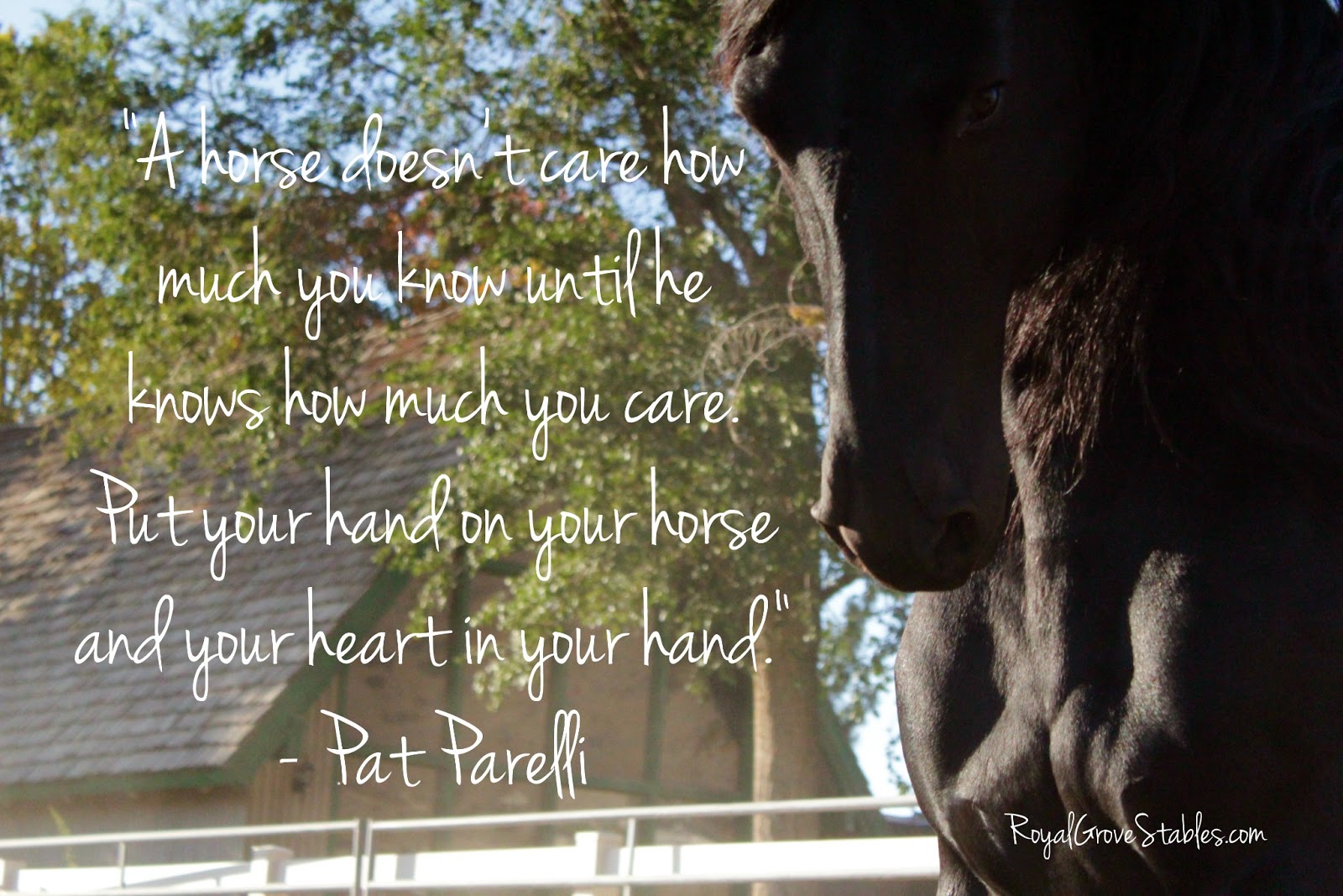 Horse Quotes Wallpaper. QuotesGram