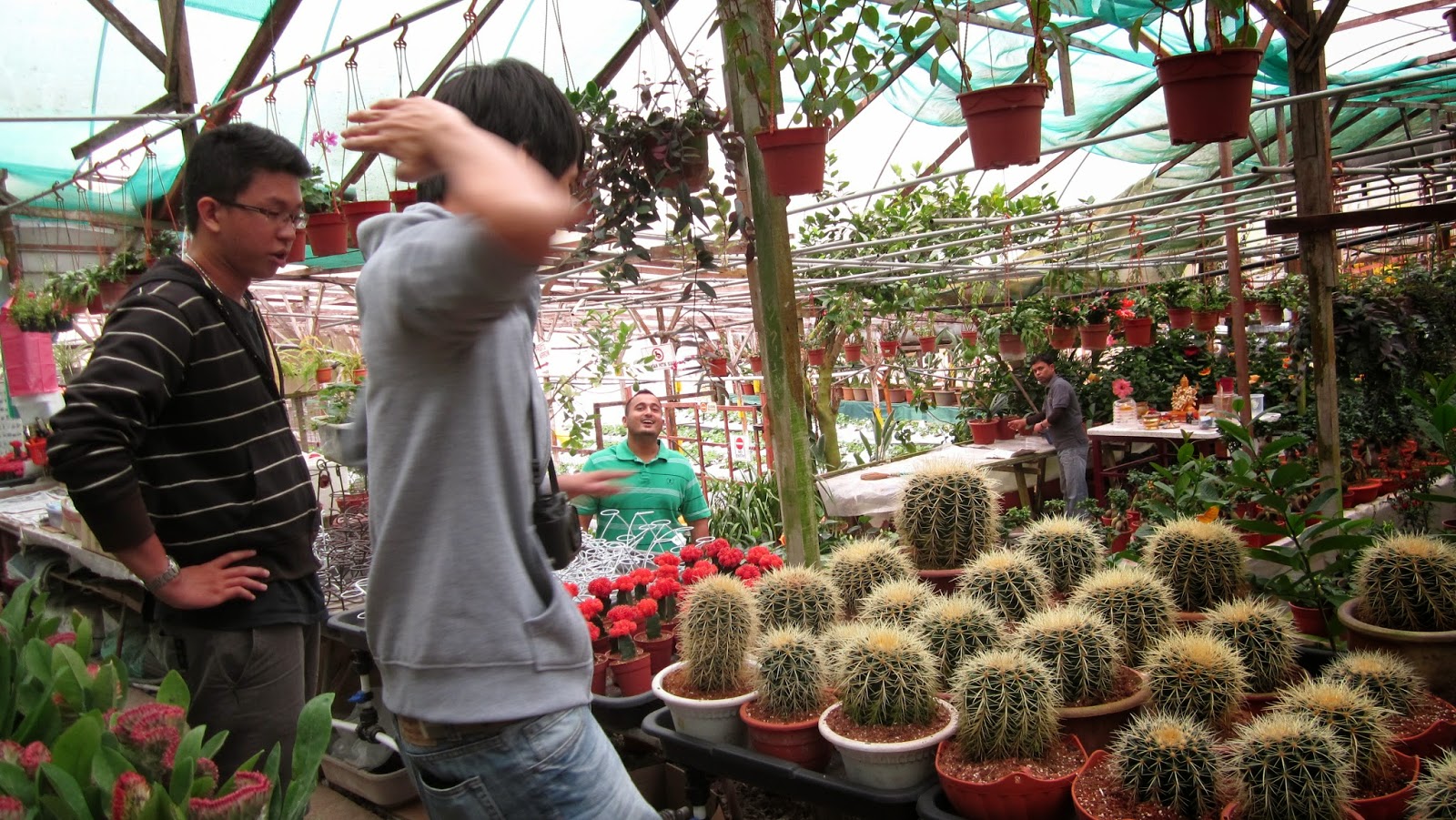 Our Journey : Pahang Cameron Highland - Big Red Strawberry Farm