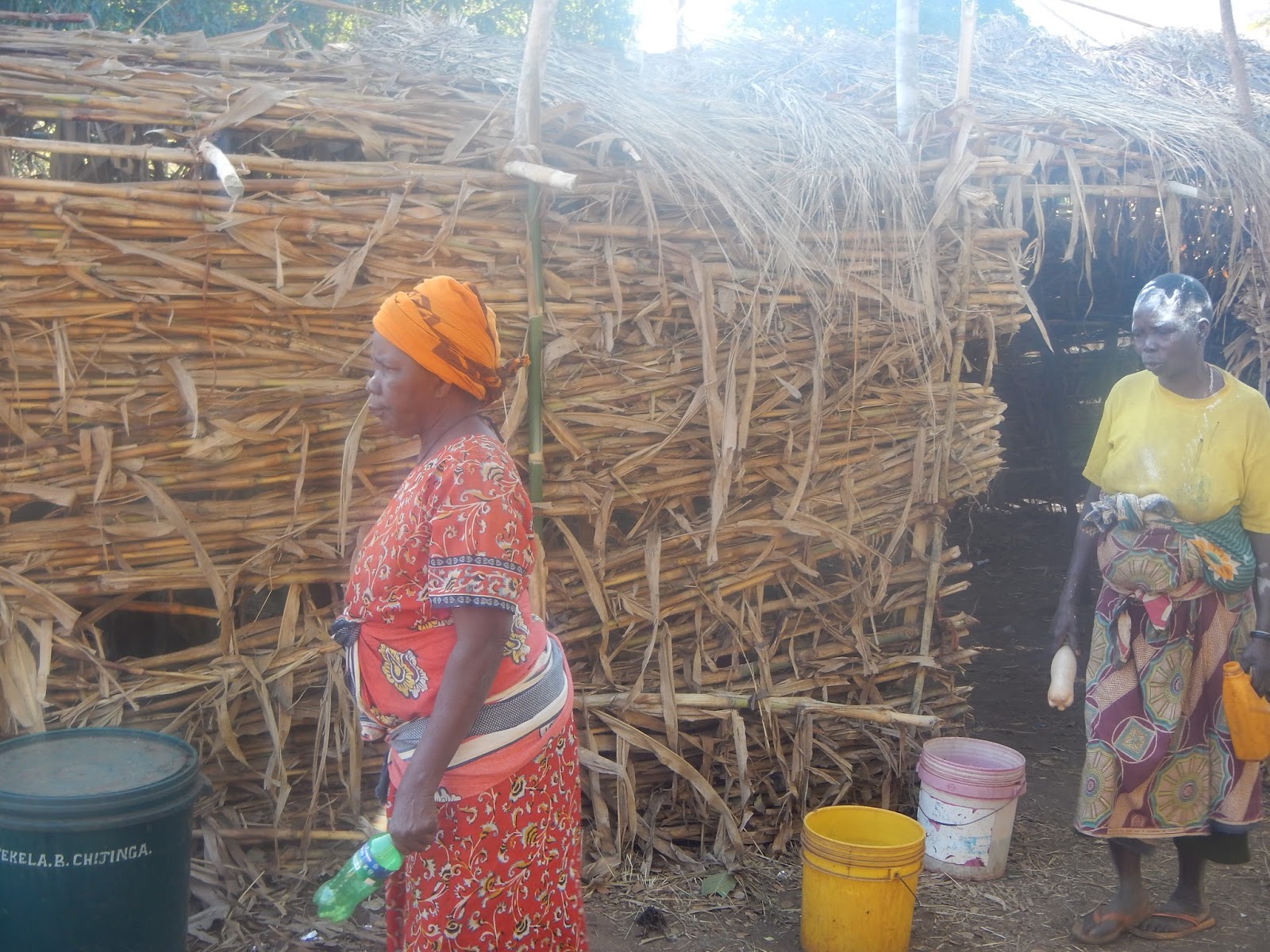 KABILA LA WAMWERA WANAVYOENDELEZA MILA NA DESTURI ZAO ZA JANDO NA ...