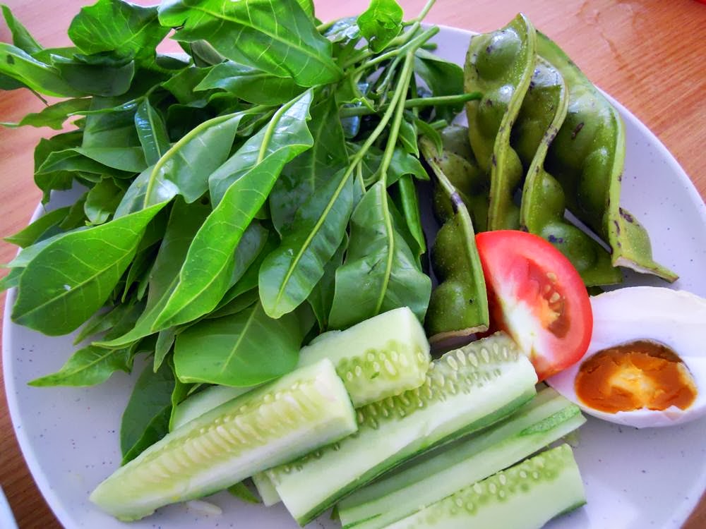 lizjournal ...: Tenggek burung