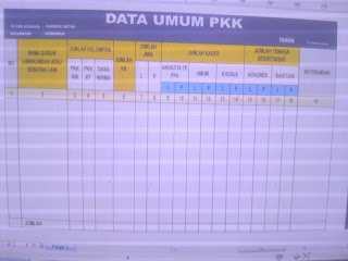 galery pendidikan: Papan Data PKK Format Terbaru