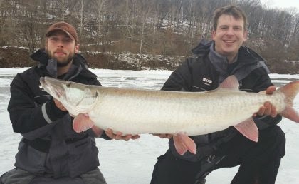 Ohio Fishing Source: Huge Muskie Caught Through The Ice in Western PA
