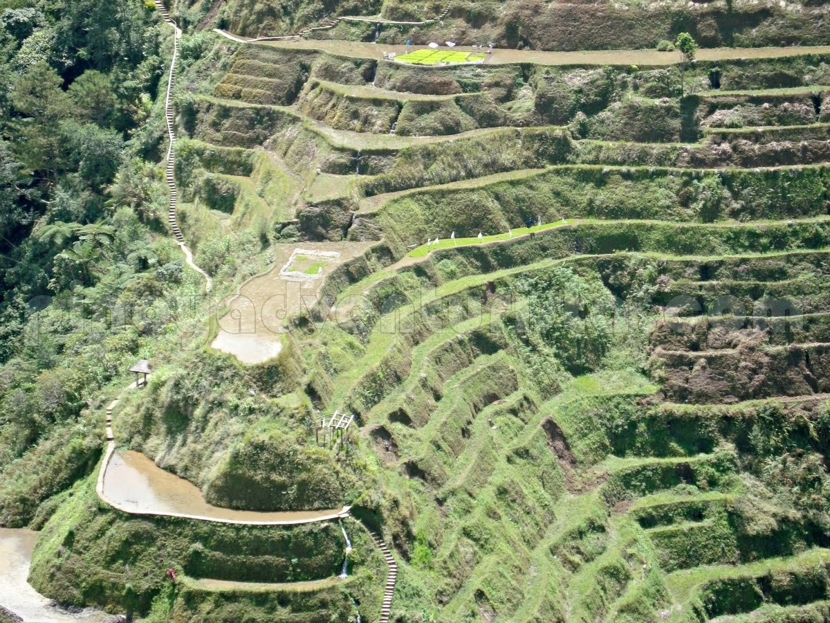Ifugao - Seeing the Banaue Rice Terraces, "A Childhood Dream Fulfilled ...