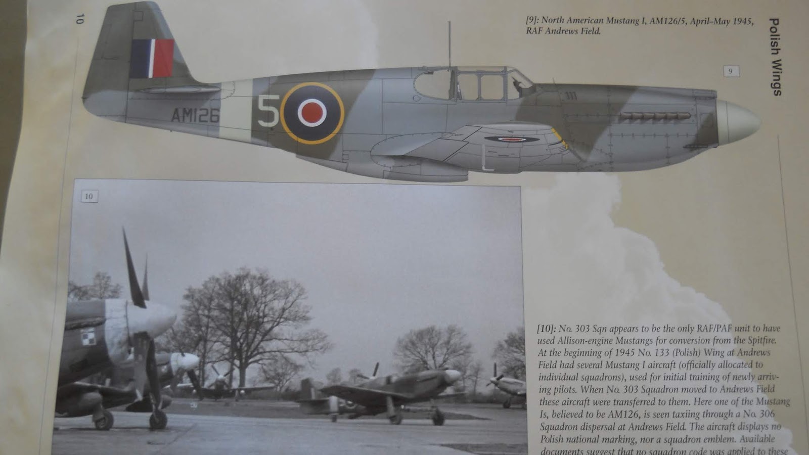 Scale Model Kit Review Blog (SMKR): MMP Books Polish Wings 23 - 303 ...