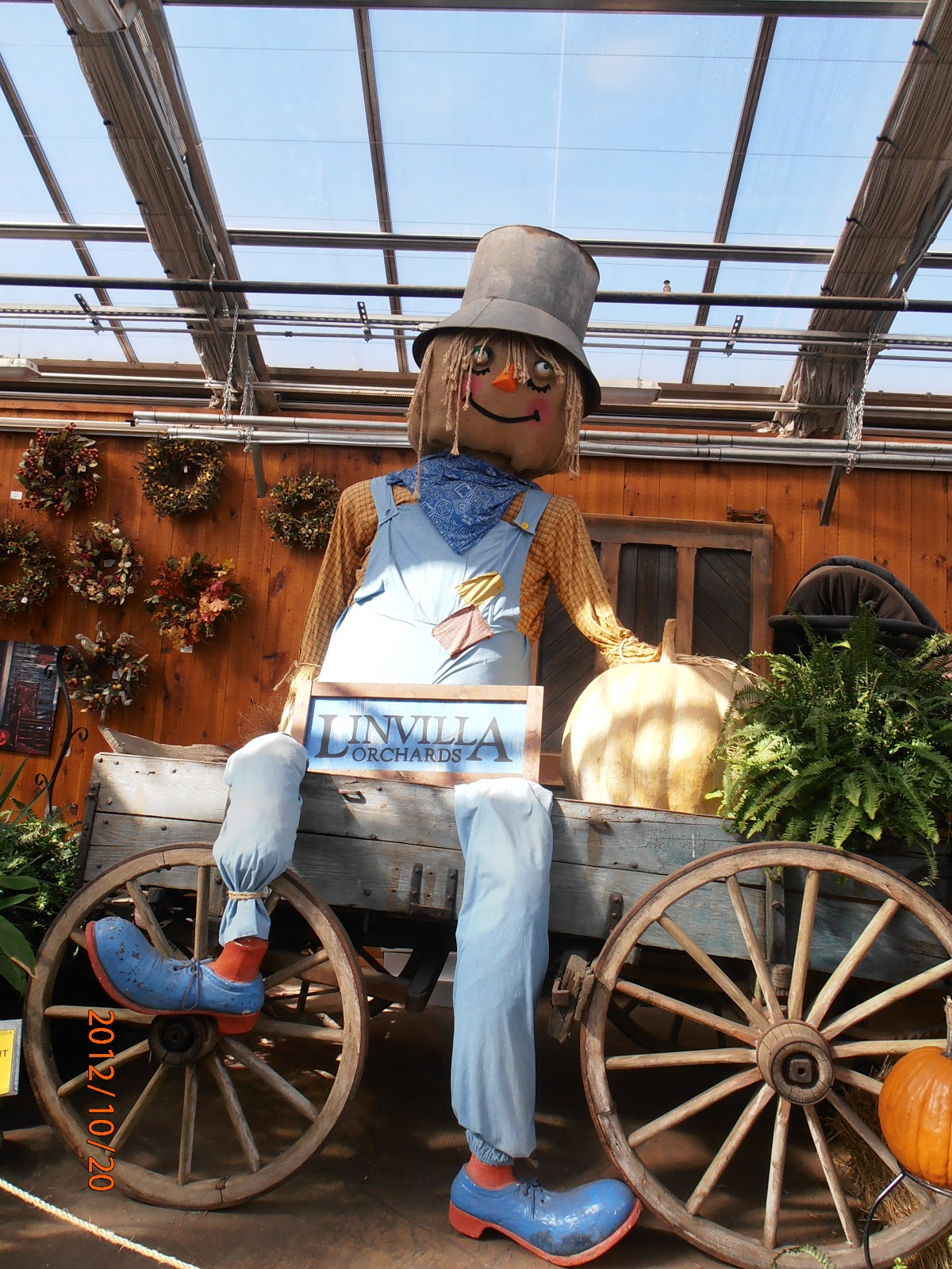 A Journey into the Past: Linvilla Orchards