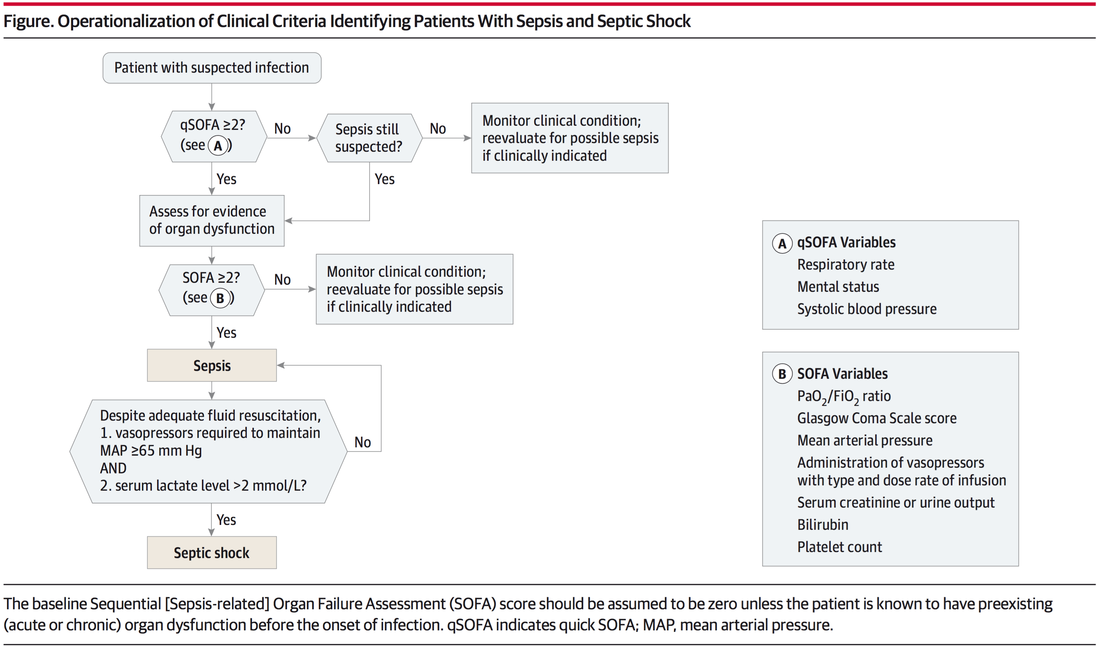 E learning: flowchart Qsofa en Sepsis// - Acute Zorg Blog