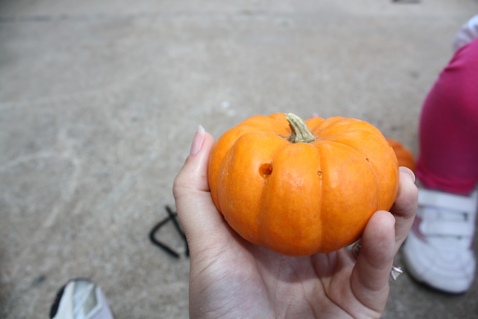 Crafty Momma: Kids Pumpkin Crafts - Glitter & Spidey Pumpkins