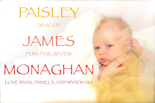 Wynd and Paisley Co.: Gallery