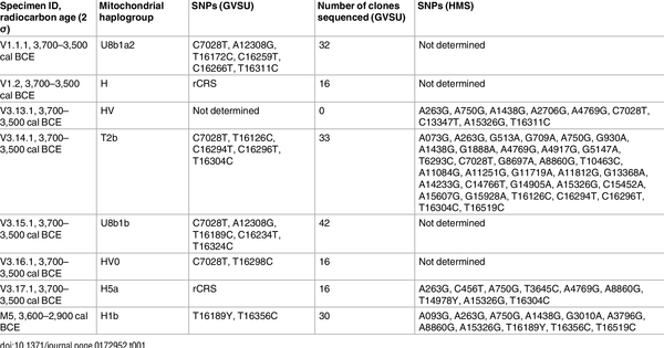 Eurogenes Blog: Trypillian mtDNA + hints of things to come?