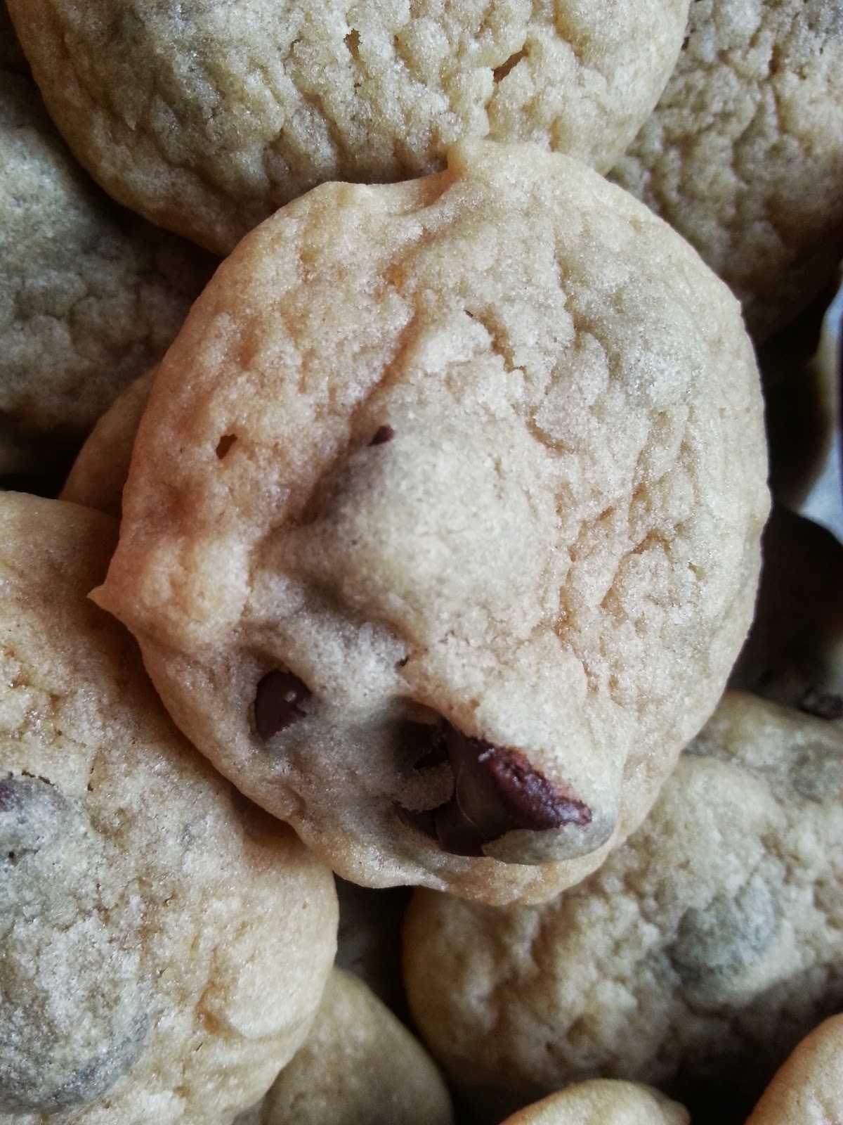 The Trials & Tribulations of a Sea Level Baker Living at 5280: Plain ...