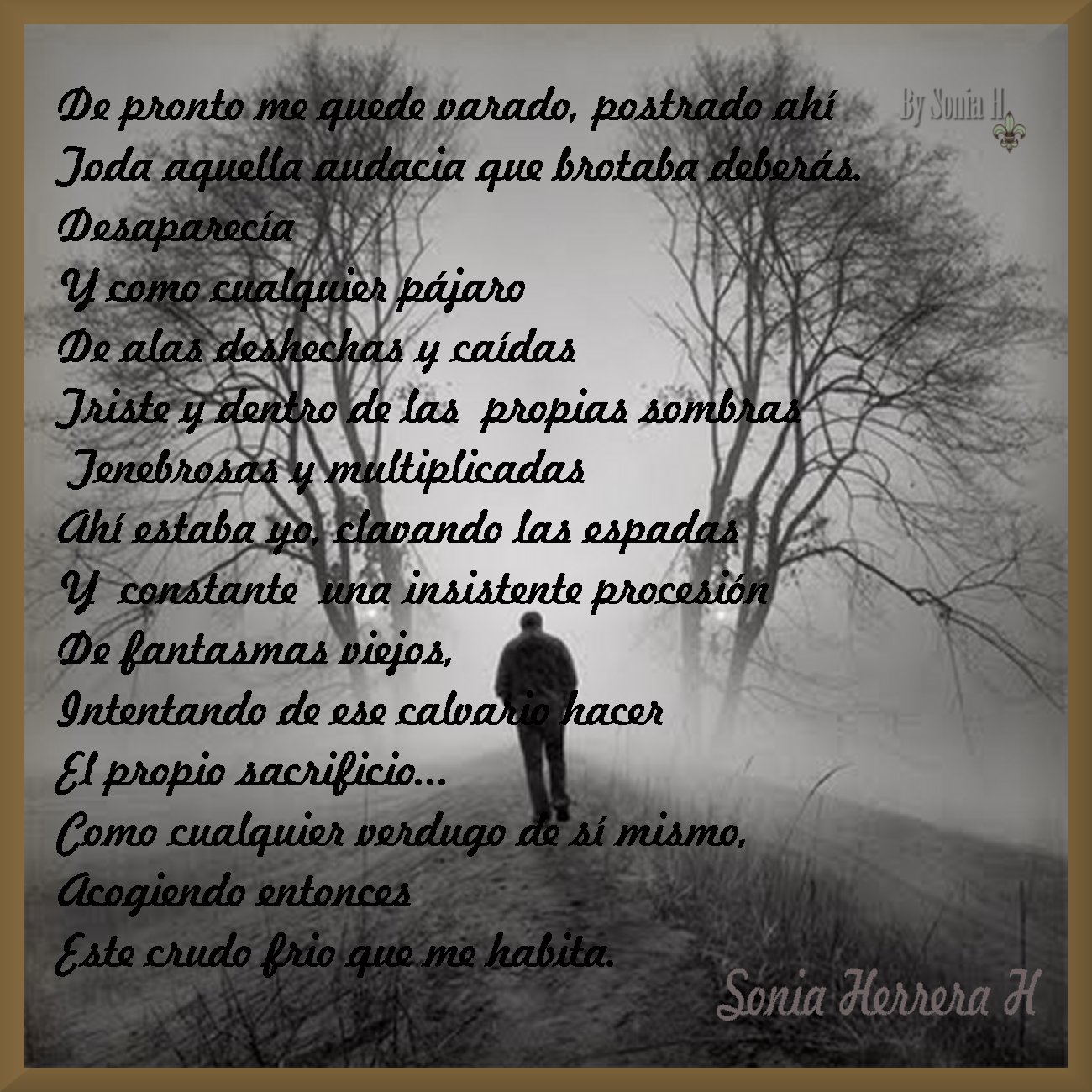 MORDEDURAS DE CONCIENCIA.,DESOLACIÓN.