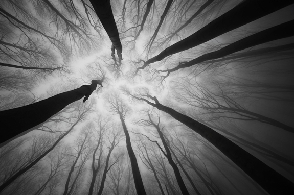 best photos 2 share: Amazing Pictures of One Point Perspective Photography