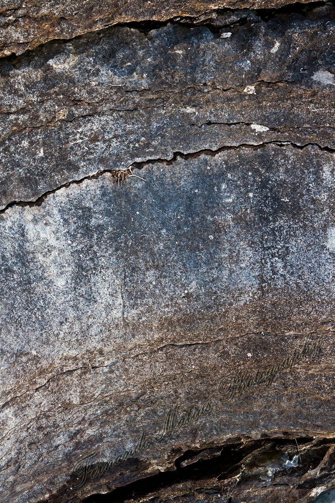 Fernando Matias Photography - Ottawa Ontario - Ottawa Wedding ...