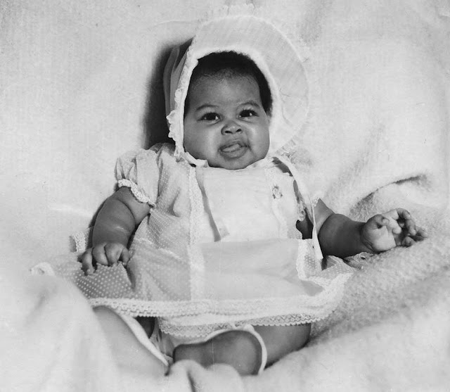 The Digital Research Library of Illinois History Journal™ : The ...