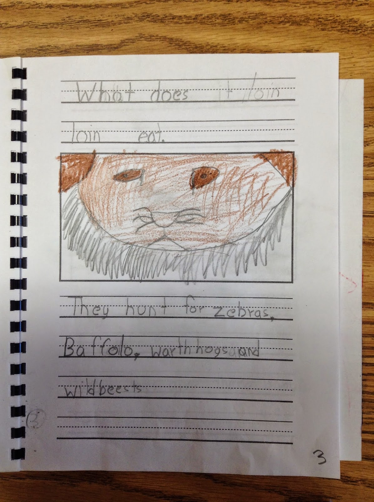 Ms.M's Blog: Writing on Wednesday: Animal Research Reports