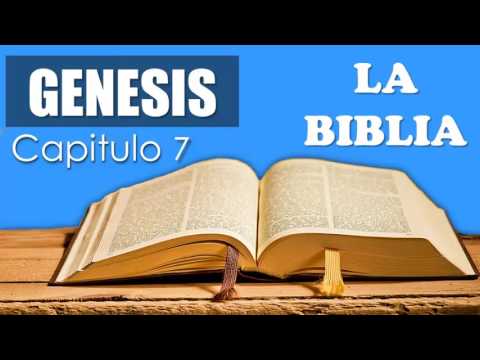 Génesis Capítulo 7 ~ Comentando la Biblia