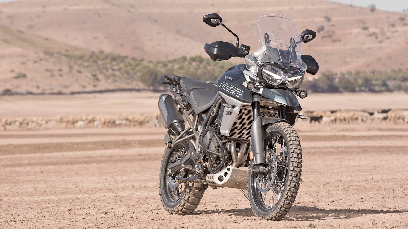 Triumph Tiger 800 ADV