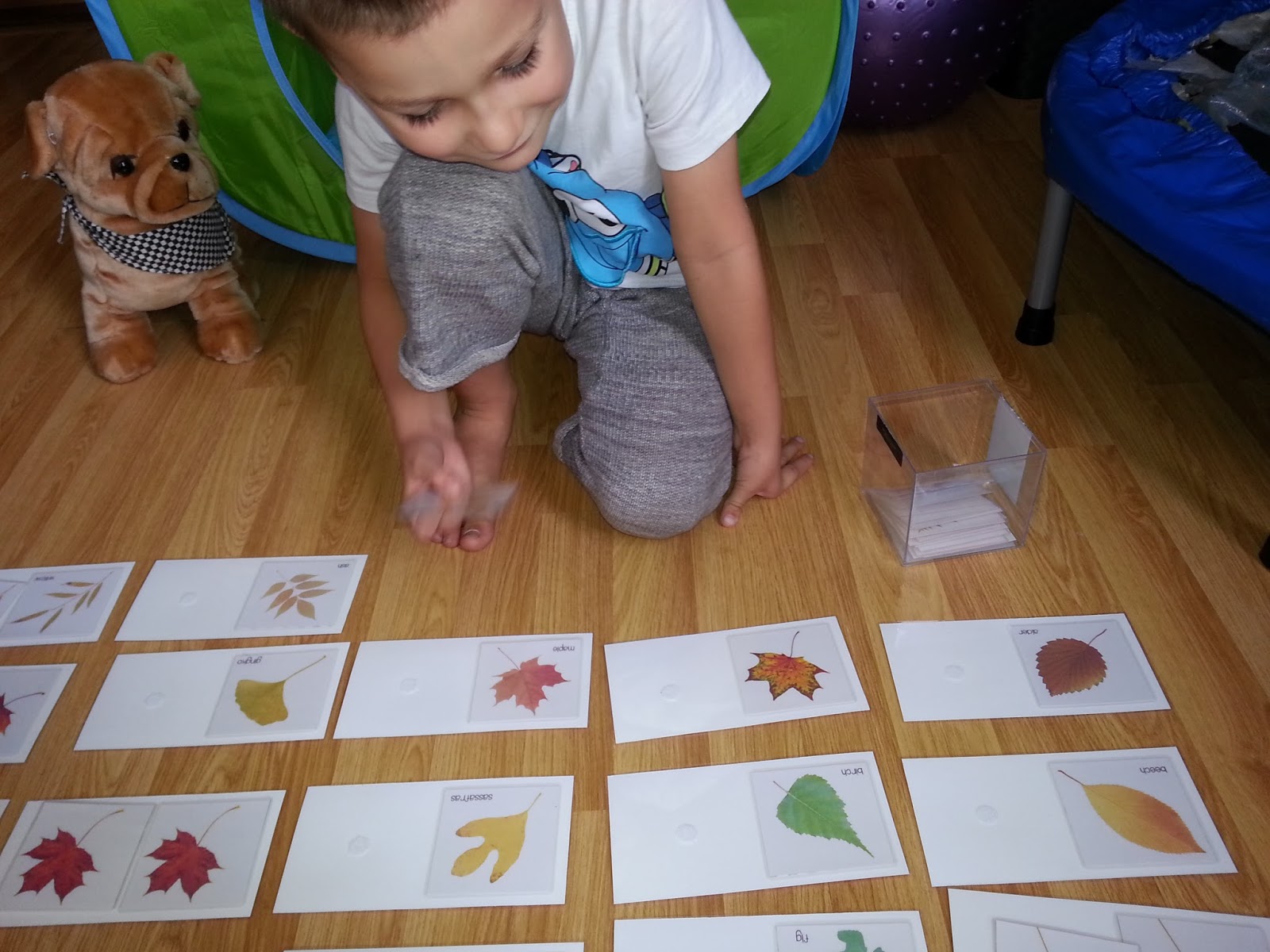 Ćwiczymy pamięć i spostrzegawczość z jesiennymi liśćmi