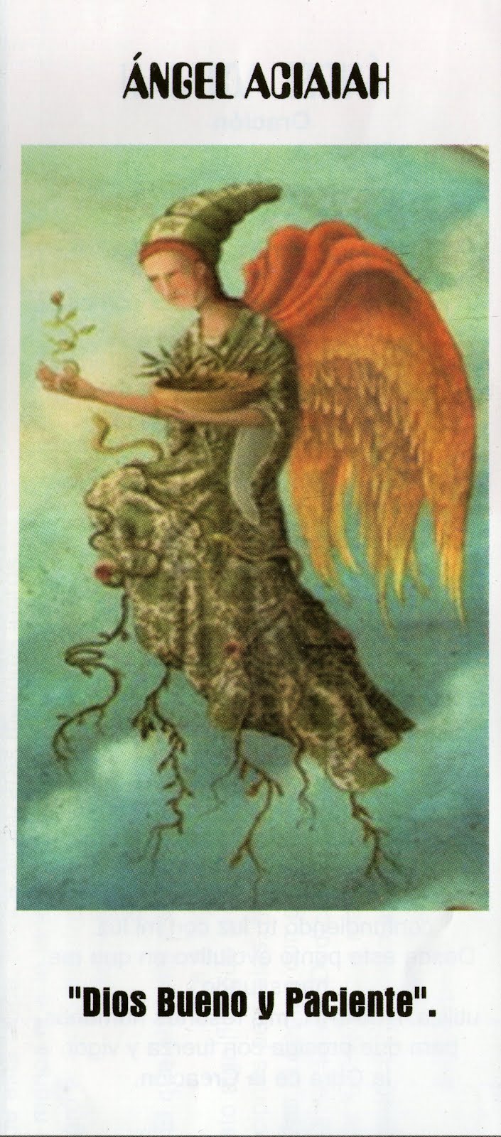 ESPIRITUALIDAD: Angel Guardián: Aciaiah