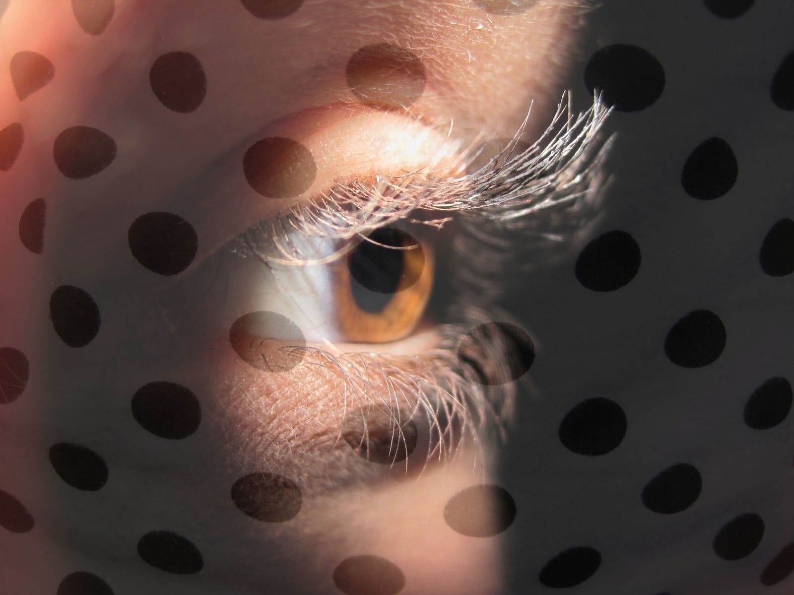 Molly's Photography: Layering Photography