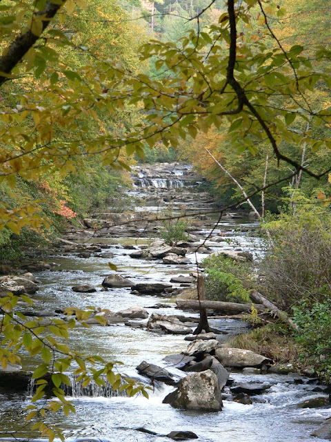 American Travel Journal: TBT: Tellico River and Bald River Falls ...