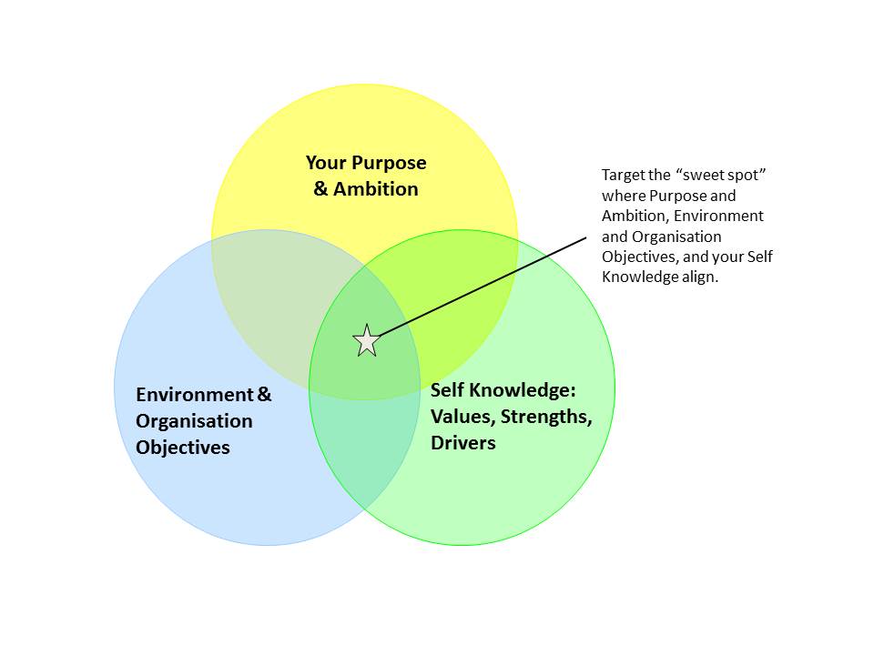 Career Progression Factors, part 3 (Self Knowledge) - Talent Futures