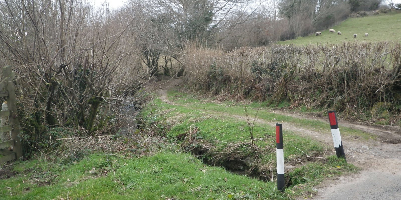 My Dartmoor Walks: Sunday 24th February The Walkhampton Plaques