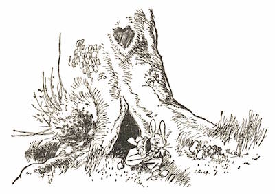 BRER RABBIT: TALES of a TRICKSTER: C007. Brer Rabbit Rides Brer Fox Again