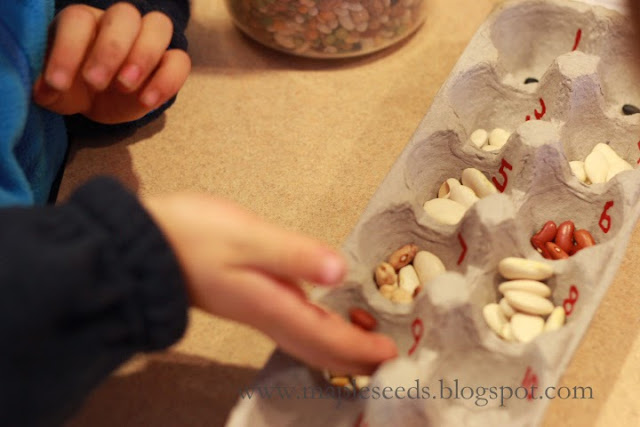 MapleSeeds Home: Preschool Bean counter | MapleSeeds Home Blog