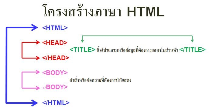 นายธนกฤต สิงห์สา: ใบงานที่ 10 รูปแบบของคำสั่ง HTML
