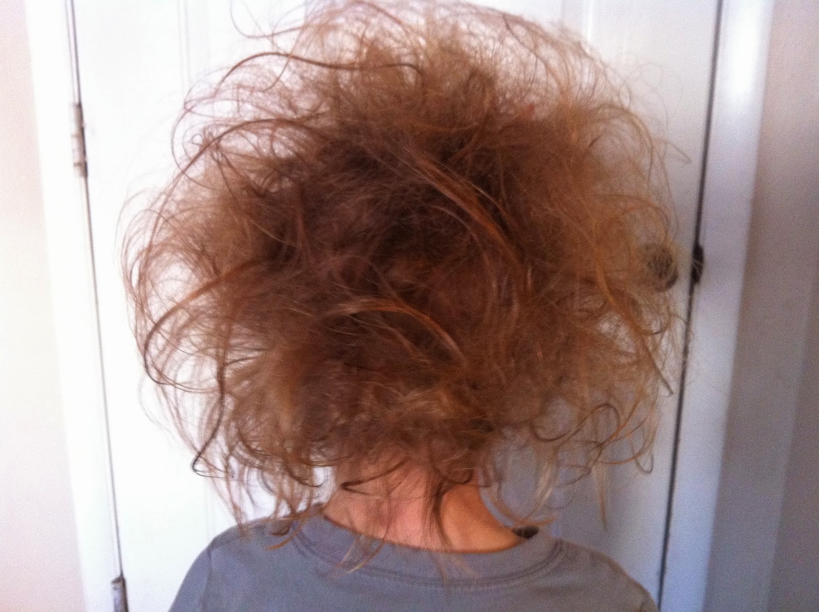 BowSweet: Tuesday Tips: Crazy Hair Day Ideas