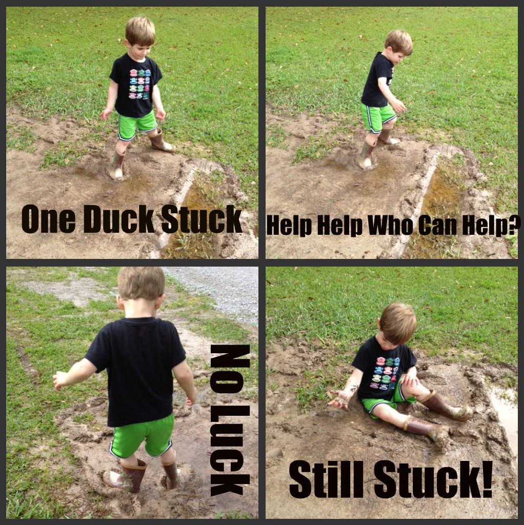 Raising a Toddler and a Tween: One Duck Stuck
