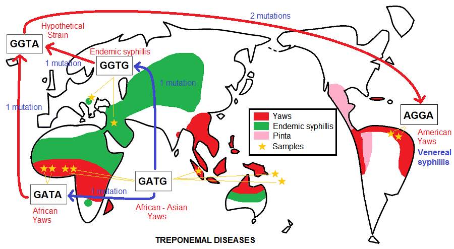 Syphillis and the Early Peopling of America | Patagonian monsters