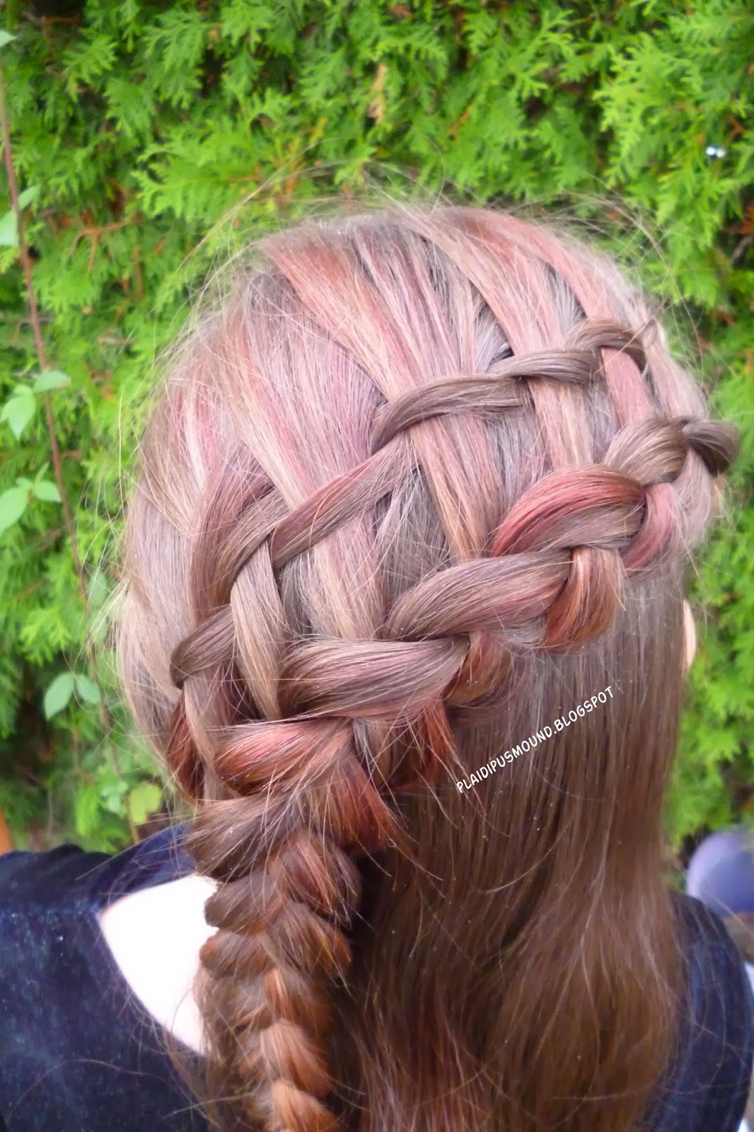 Plaidipus mound: sturdy ladder braid