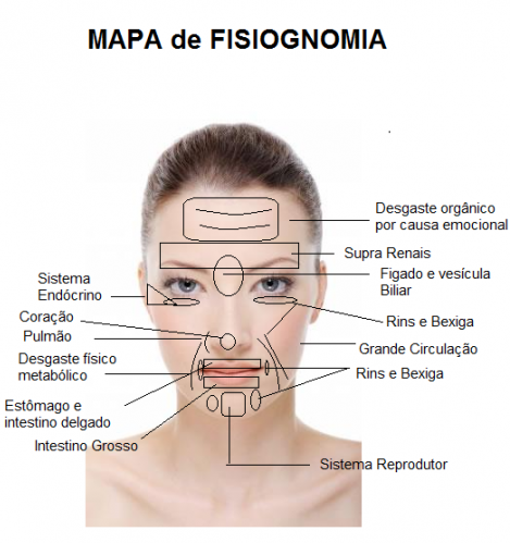 Luiza's Blog: MAPA DA FISIOGNOMIA