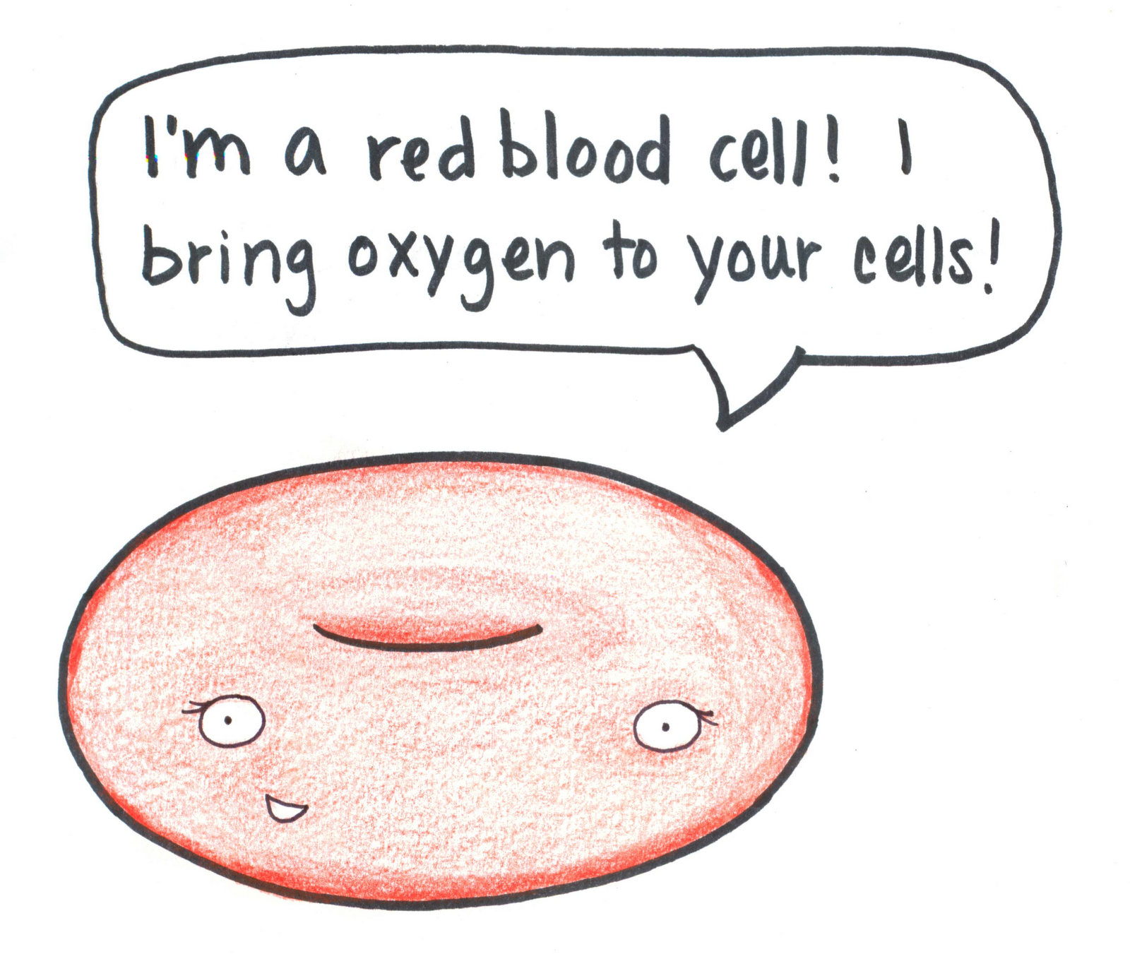 Types Of Cells Beatrice The Biologist types-of-cells-beatrice-the-biologist