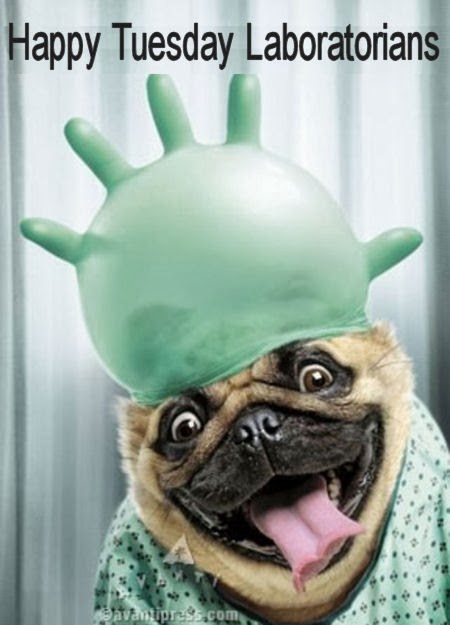 Medical Laboratory and Biomedical Science: Happy Tuesday Laboratorians