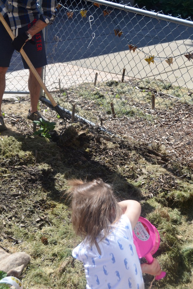 Get Out and Garden | The Nutritionist Reviews