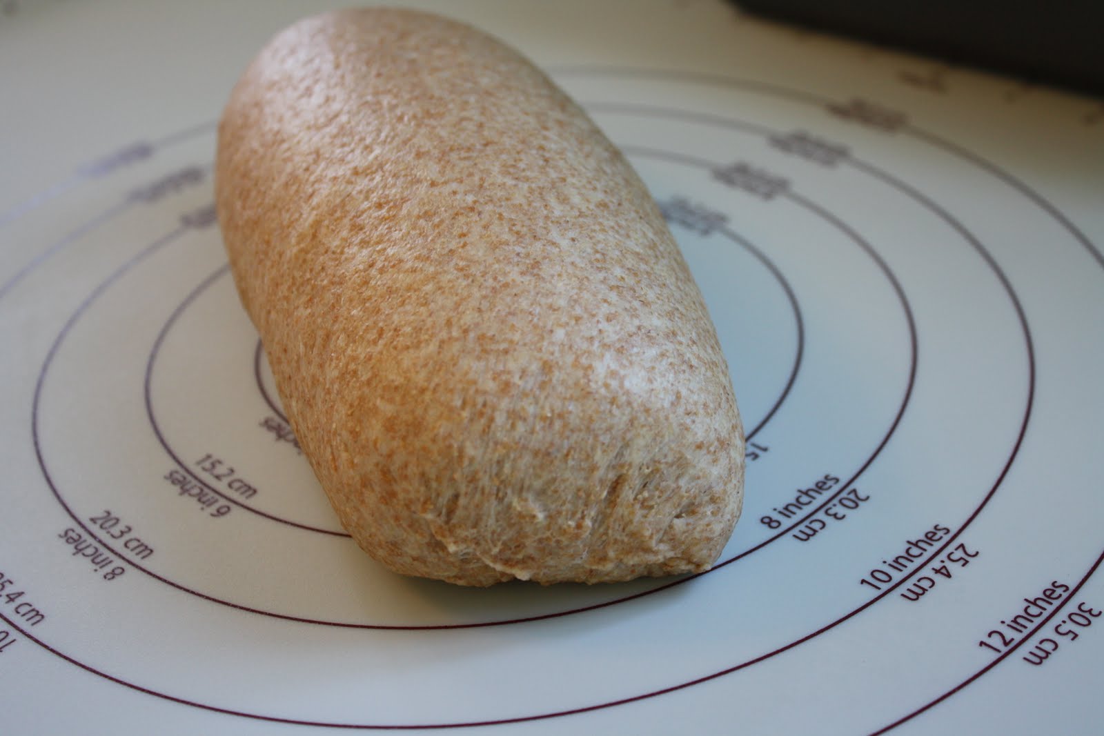 Recipes from Michelle's Kitchen: Whole Wheat Bread- Tutorial