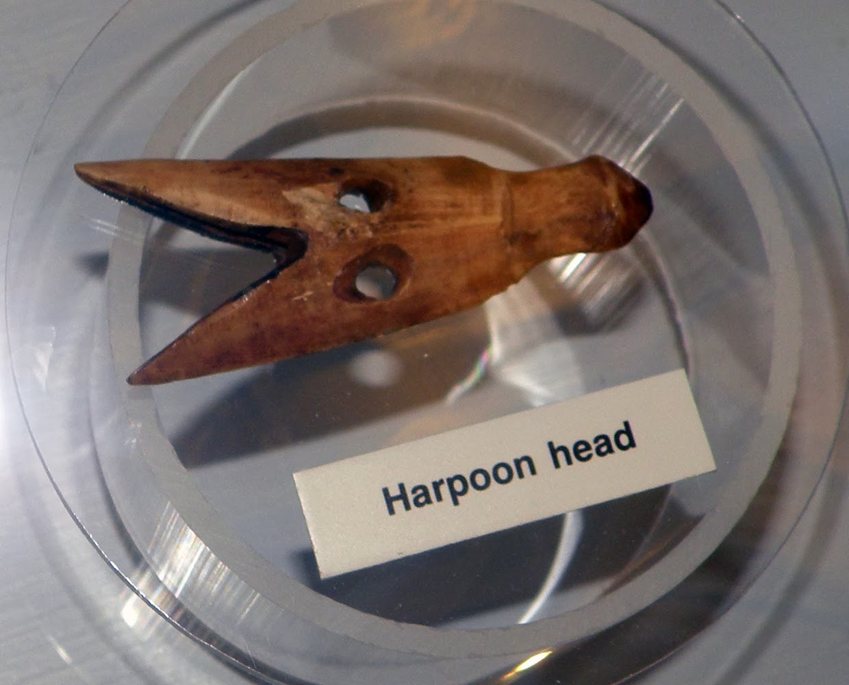 Elfshot: Researching the Beothuk Harpoon