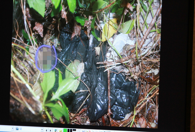 Anything about Everything: Caylee's skull and other pictures are shown