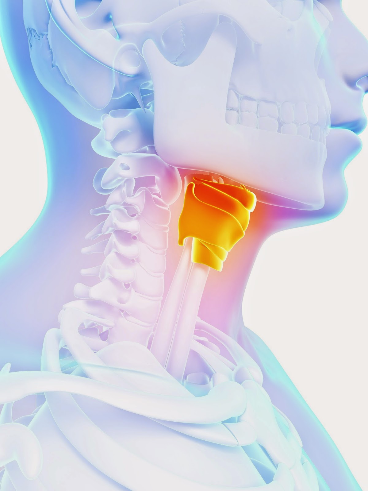 Epiglotitis: Sintomas y tratamientos | Salud y Cuidados