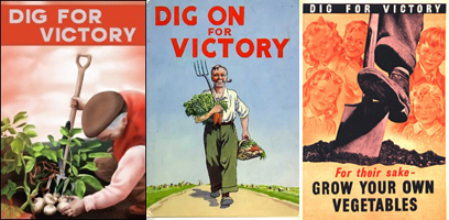 A Happy Green Life Blog: Dig For Victory!