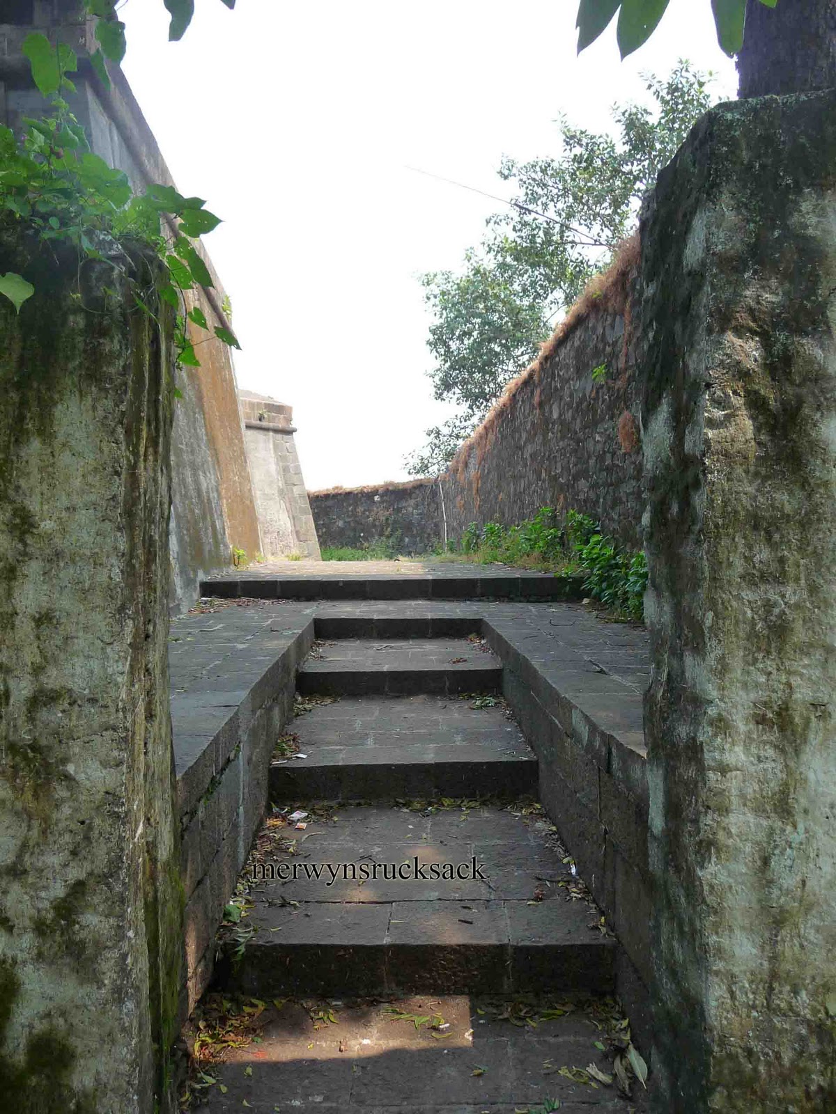 Sewree Fort | The journey of a thousand miles begins with one step