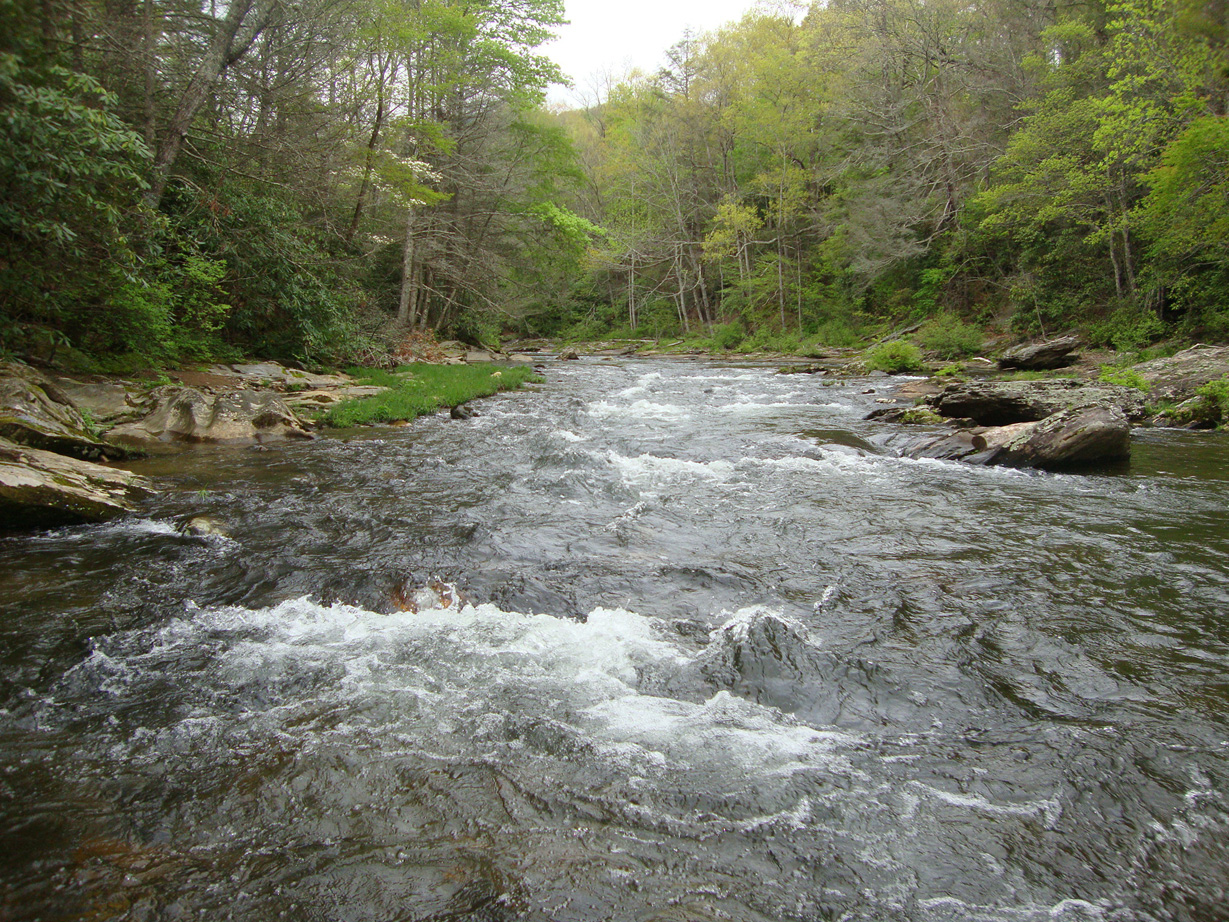 ~StreamSide Tales~: Birthday Weekend on the South Toe River