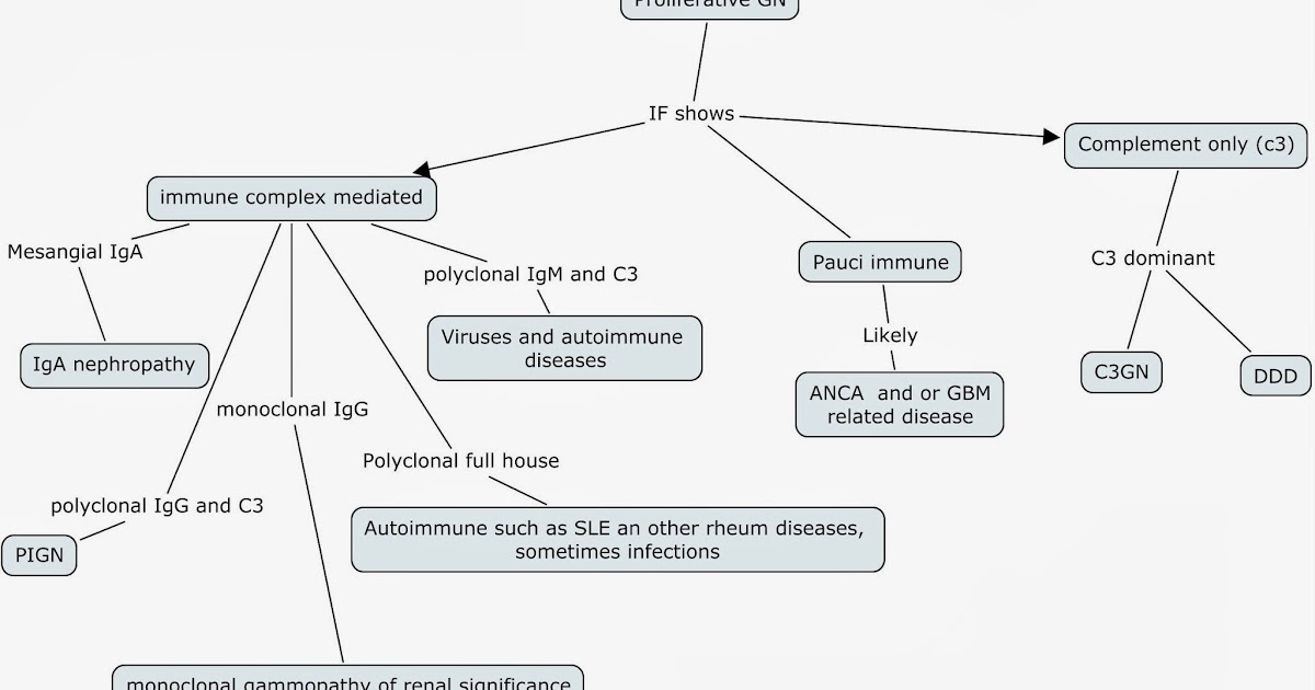 Nephron Power: Concept Map of Proliferative Glomerulonephritis: a novel ...