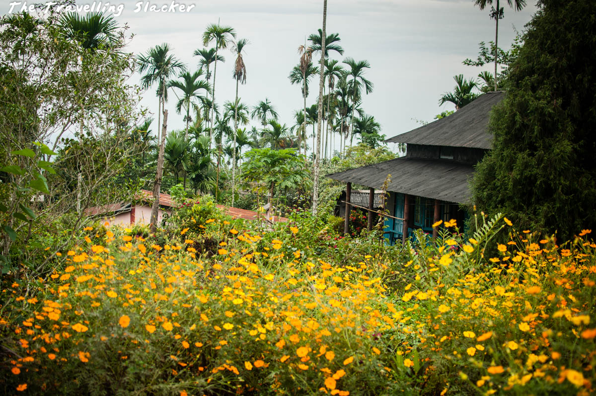 Explore Indian Streets: Mawlynnong - The cleanest village in Asia