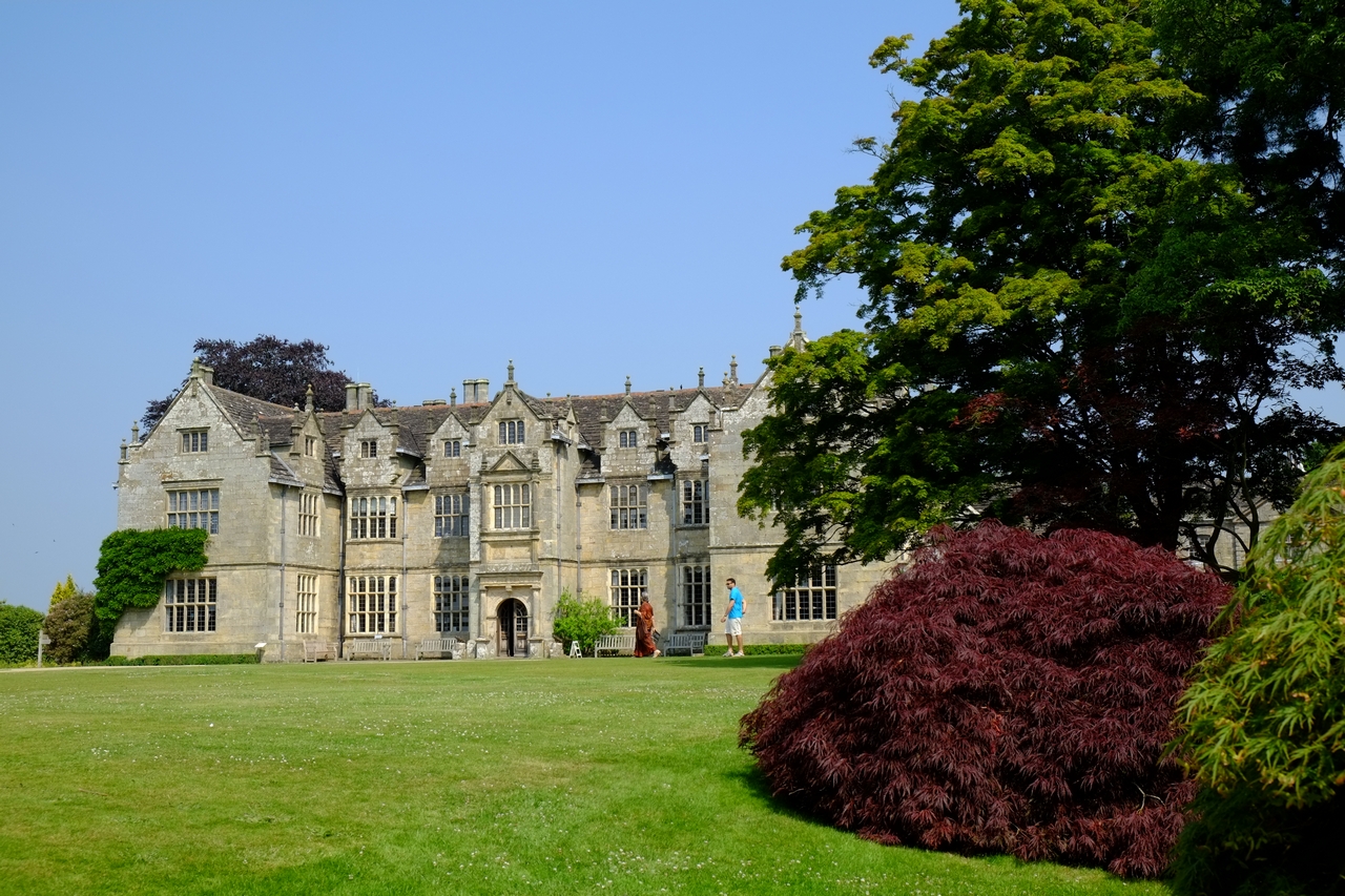 Tricia's Tales: Wakehurst Gardens... it was hot!!